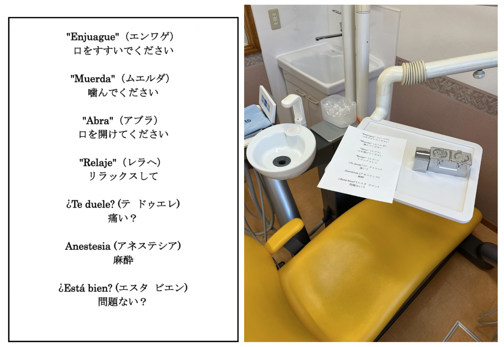 外国人患者さん受け入れへの取り組み - 海老名で36年「ベル歯科医院」